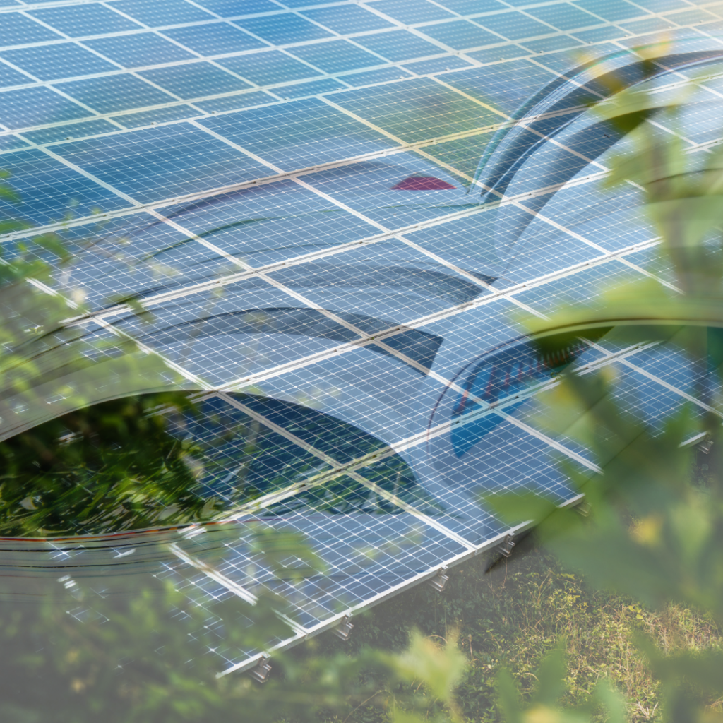 AMK ENERGY À L'HONNEUR DANS CAPITAL - AMK GROUPE